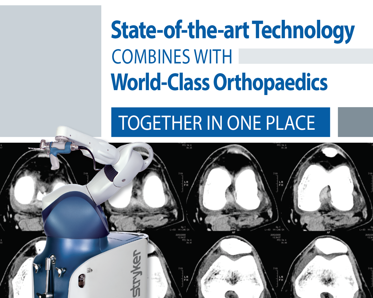 Total Knee Replacement - BJISG
