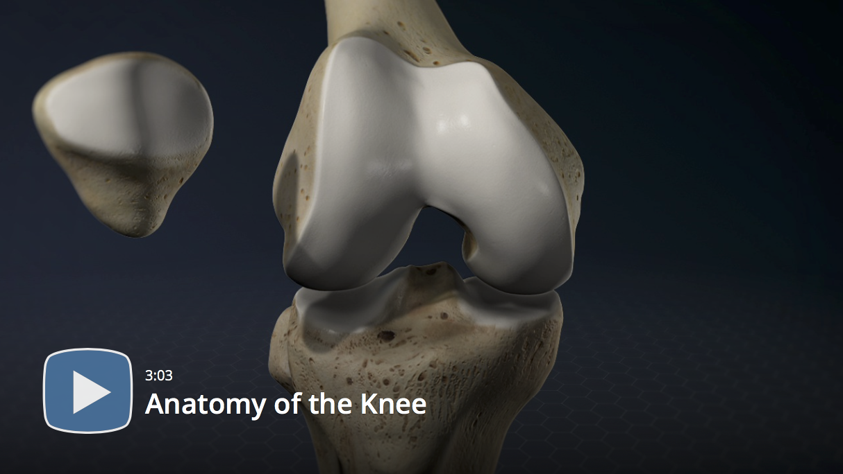 Total Knee Replacement - BJISG